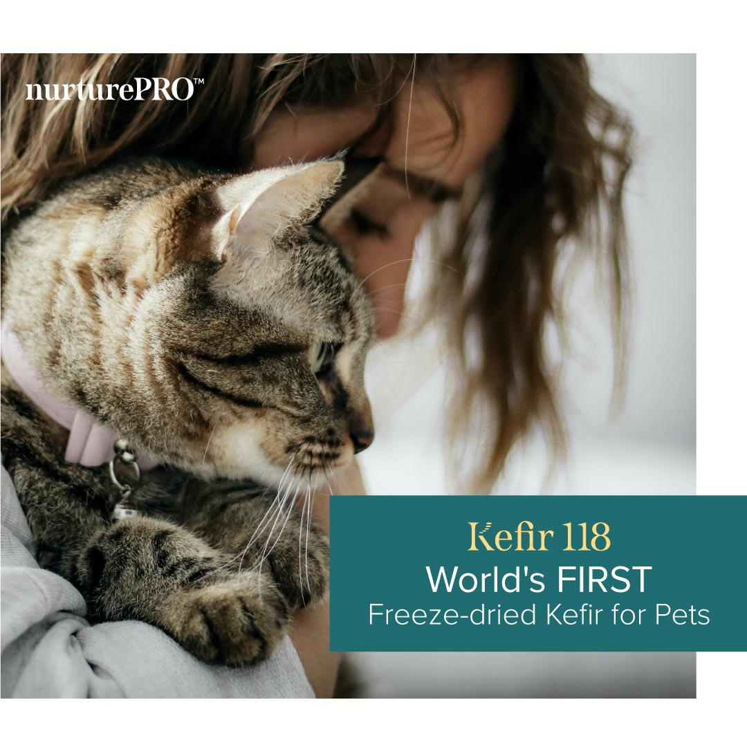 Yappy Pets Official Store, Online Shop Jul 2024 | Shopee Singapore