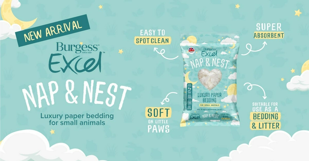 Yappy Pets Official Store, Online Shop Jun 2023 | Shopee Singapore