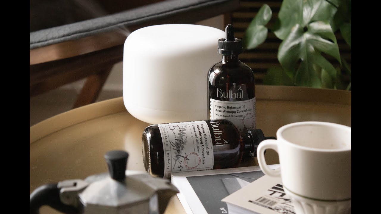 Bulbul, Online Shop | Shopee Singapore