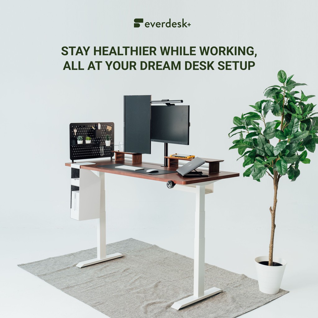 ErgoTune Official Store, Online Shop Jul 2024 | Shopee Singapore