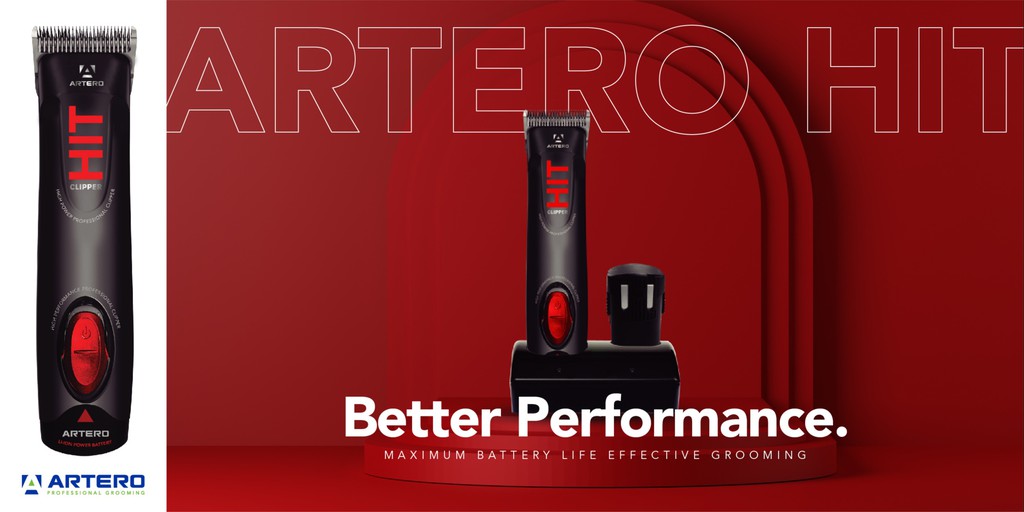 Artero Official Store, Online Shop Mar 2024 | Shopee Singapore