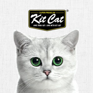 Kit Cat Official Store, Online Shop | Shopee Singapore