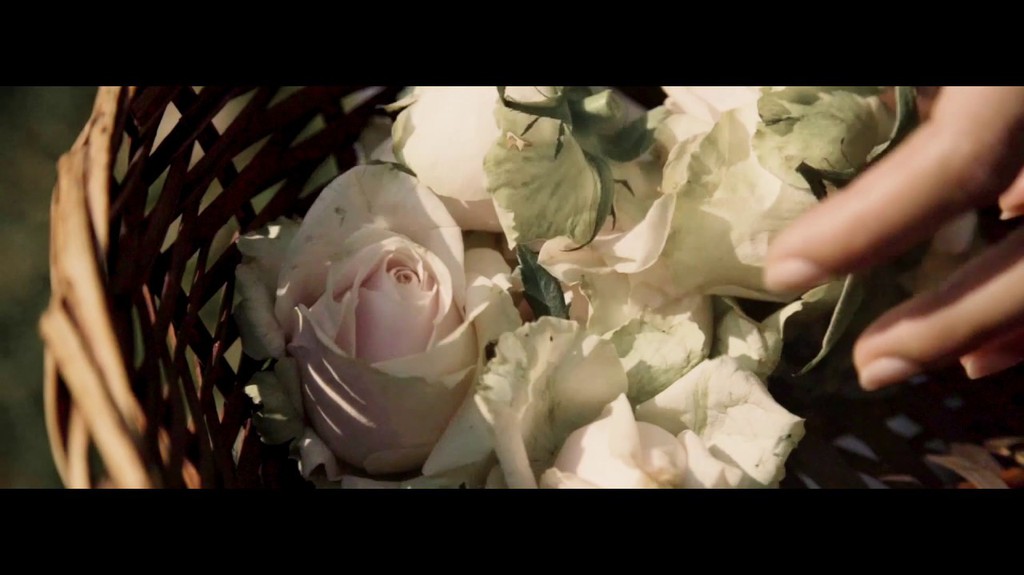 Official NestBloom Flagship Store, Online Shop | Shopee Singapore