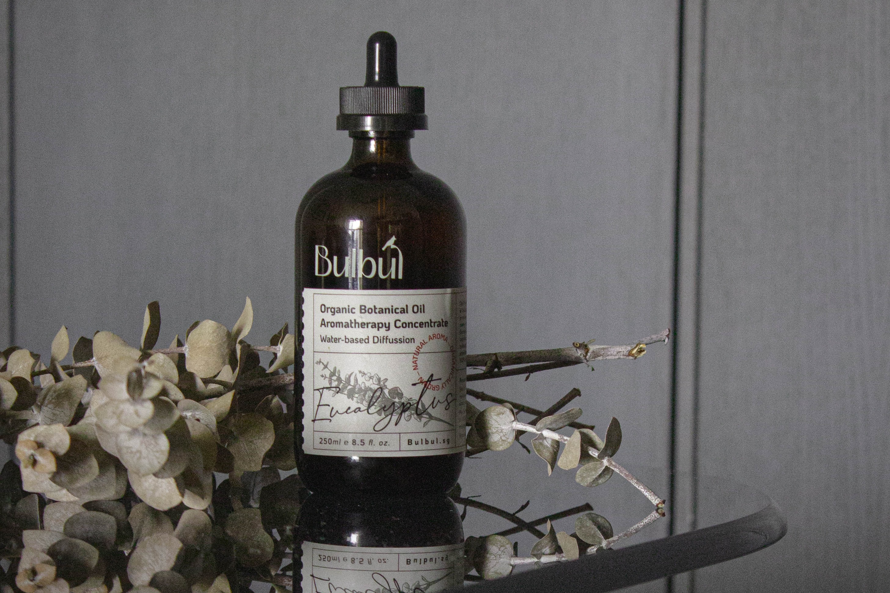 Bulbul, Online Shop | Shopee Singapore