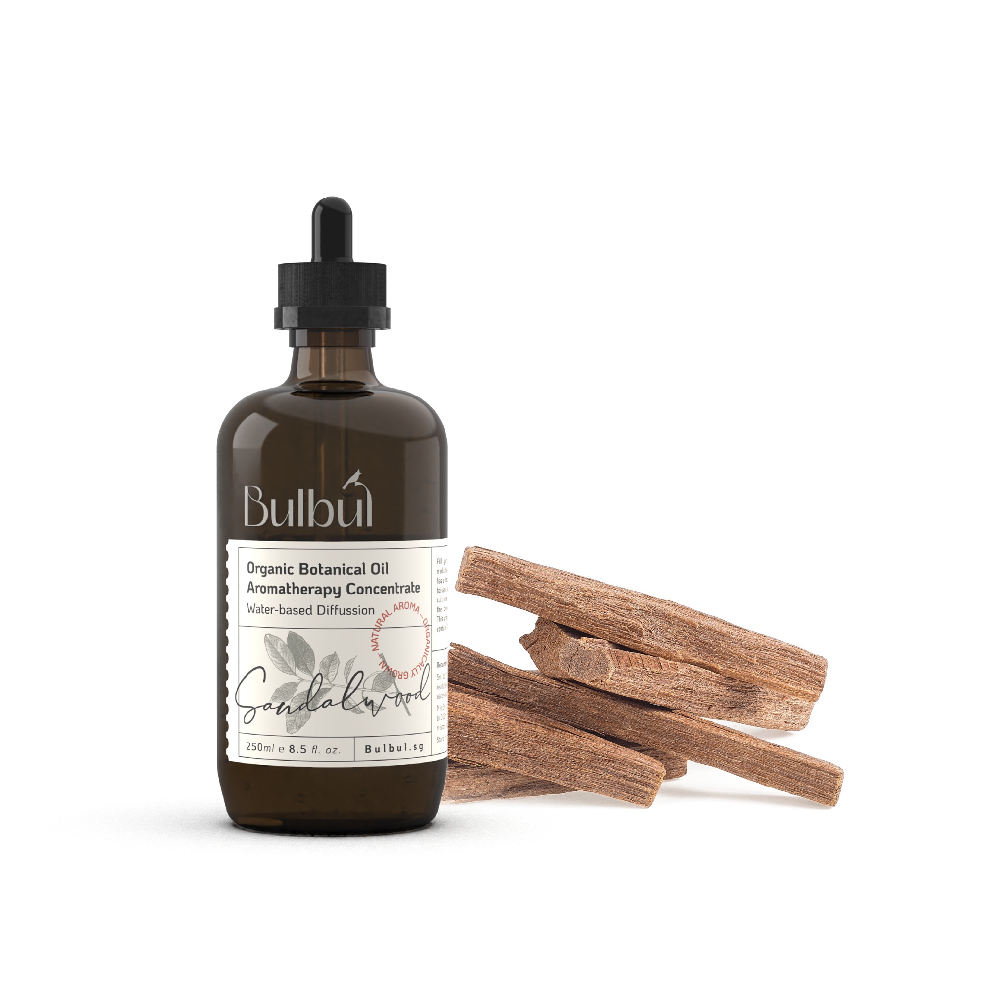 Bulbul, Online Shop | Shopee Singapore