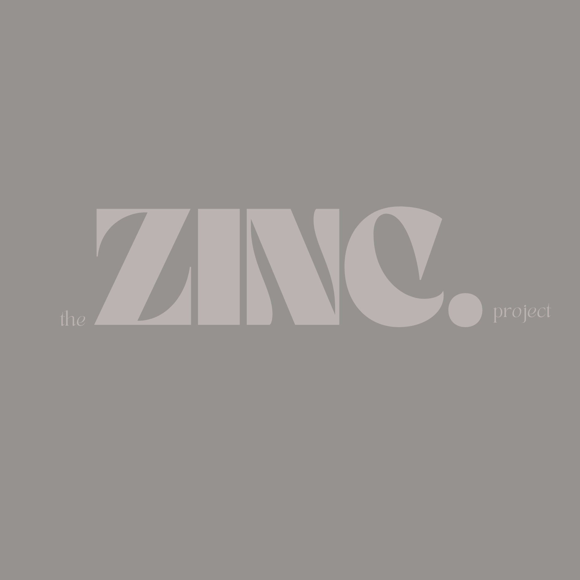Project Zinc, Online Shop | Shopee Singapore