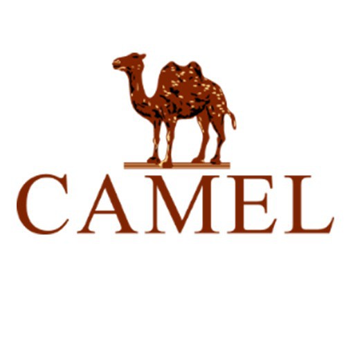 Camel Official Shop.sg, Online Shop Dec 2025 | Shopee Singapore