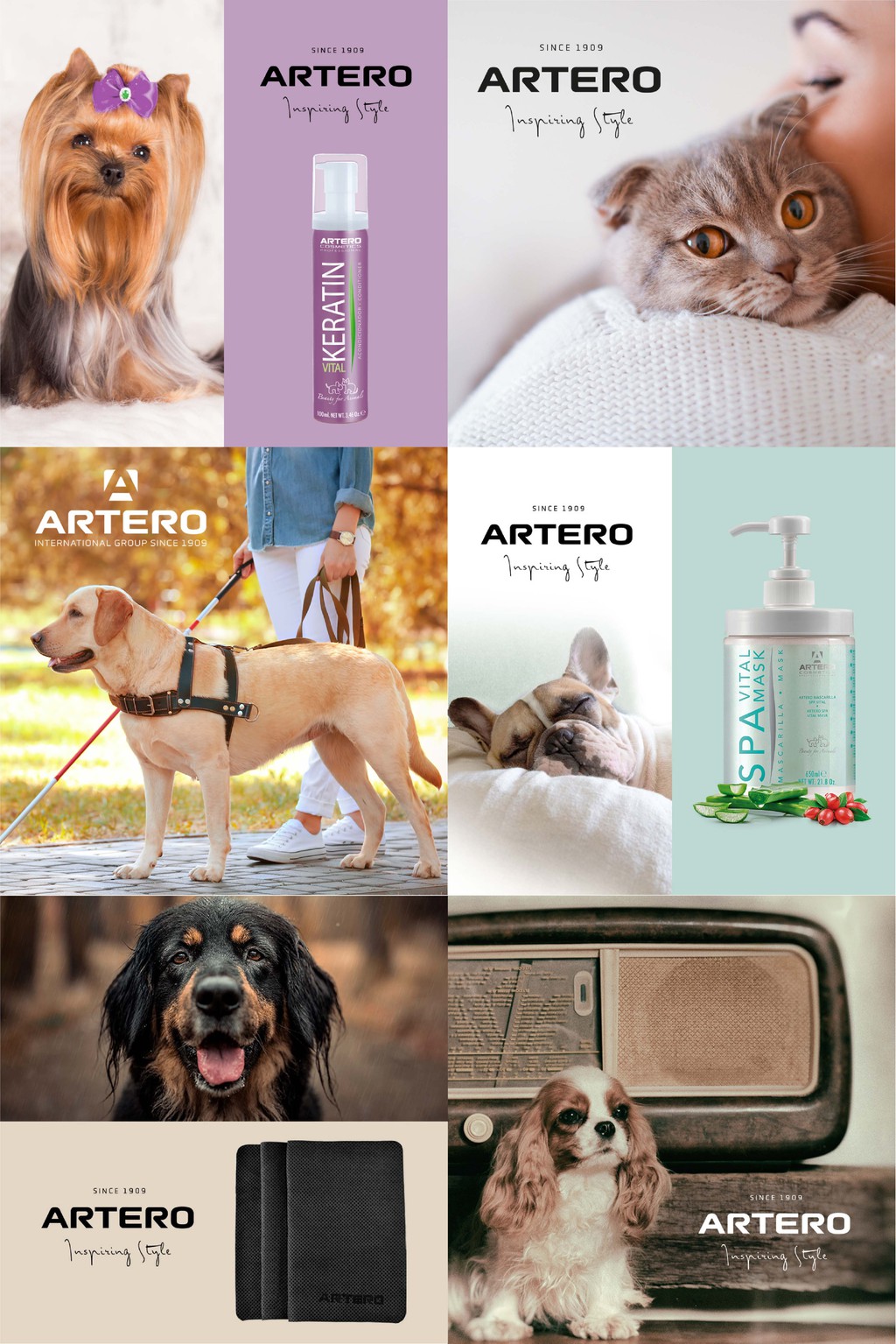 Artero Official Store, Online Shop Mar 2024 | Shopee Singapore