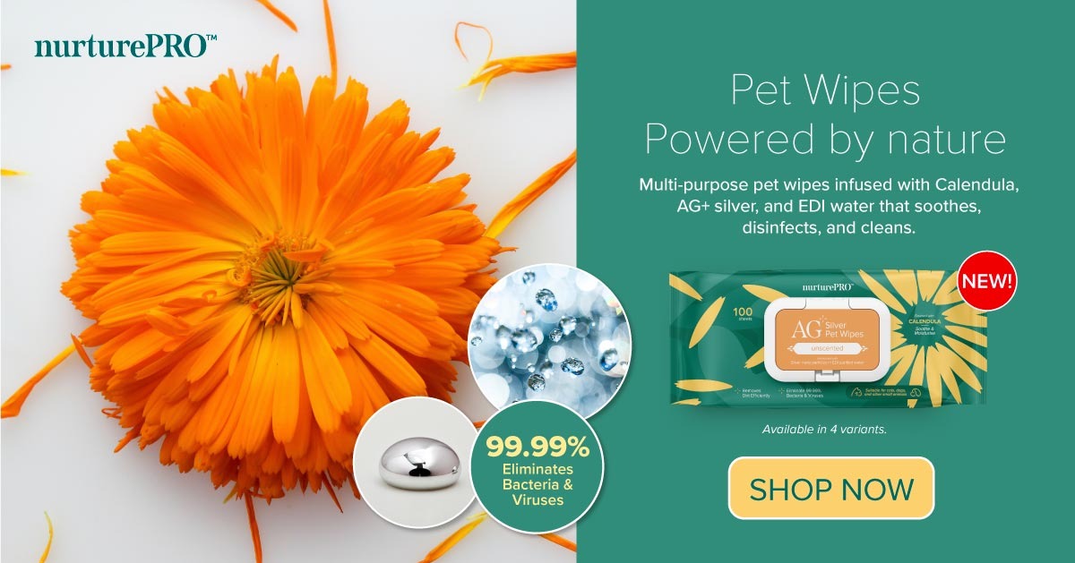 Yappy Pets Official Store, Online Shop Jun 2023 | Shopee Singapore