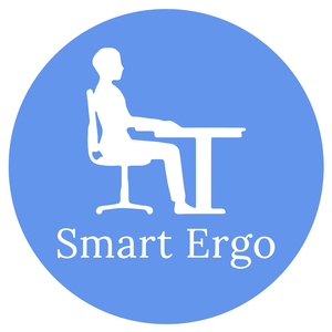 Smart Ergo Official Store, Online Shop Dec 2025 | Shopee Singapore