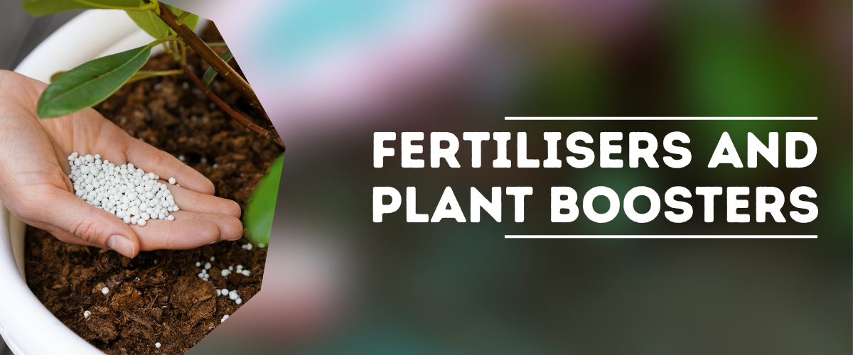 1florist, Online Shop | Shopee Singapore