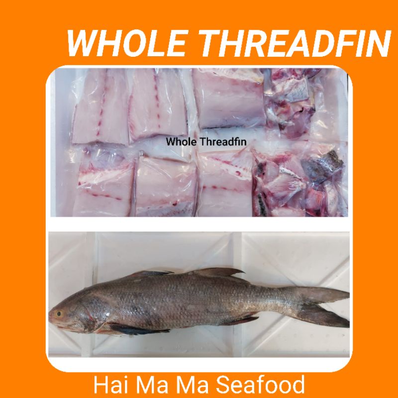 Threadfin Salmon Meat
