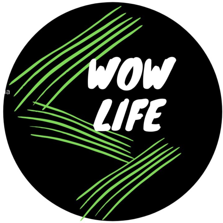 WOW LIFE HOME DECOR, Online Shop | Shopee Singapore