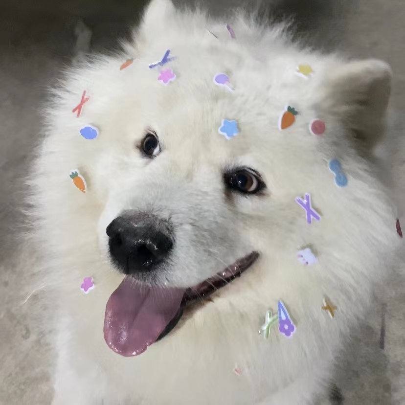 Good Luck Pet Shop, Online Shop | Shopee Singapore