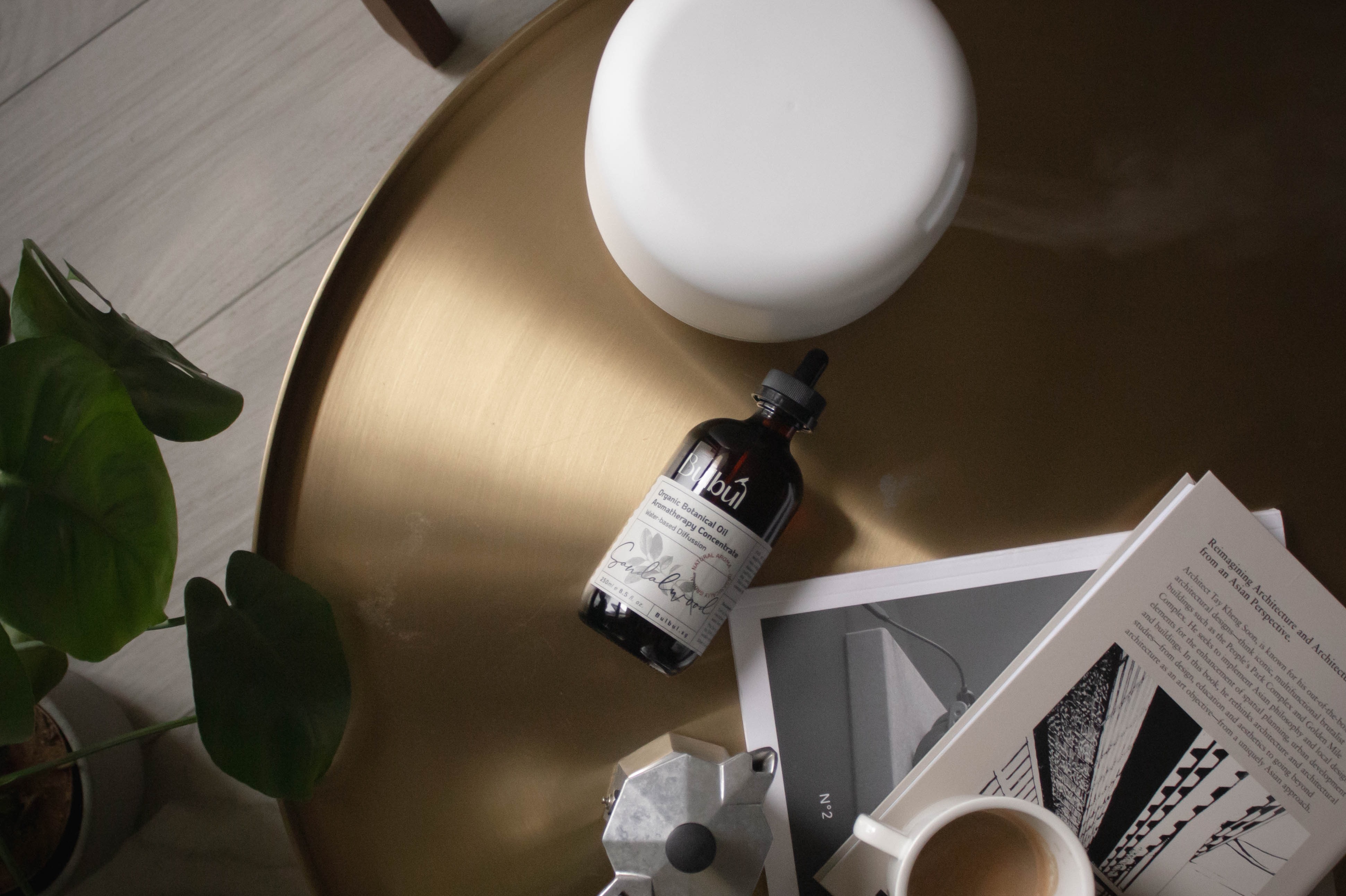 Bulbul, Online Shop | Shopee Singapore