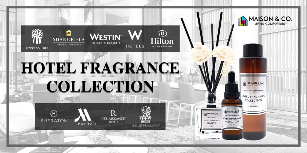 Maison & Co. SG, Online Shop | Shopee Singapore