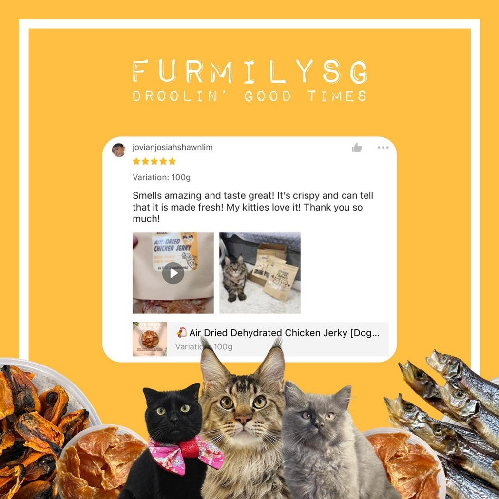 Furmily, Online Shop | Shopee Singapore