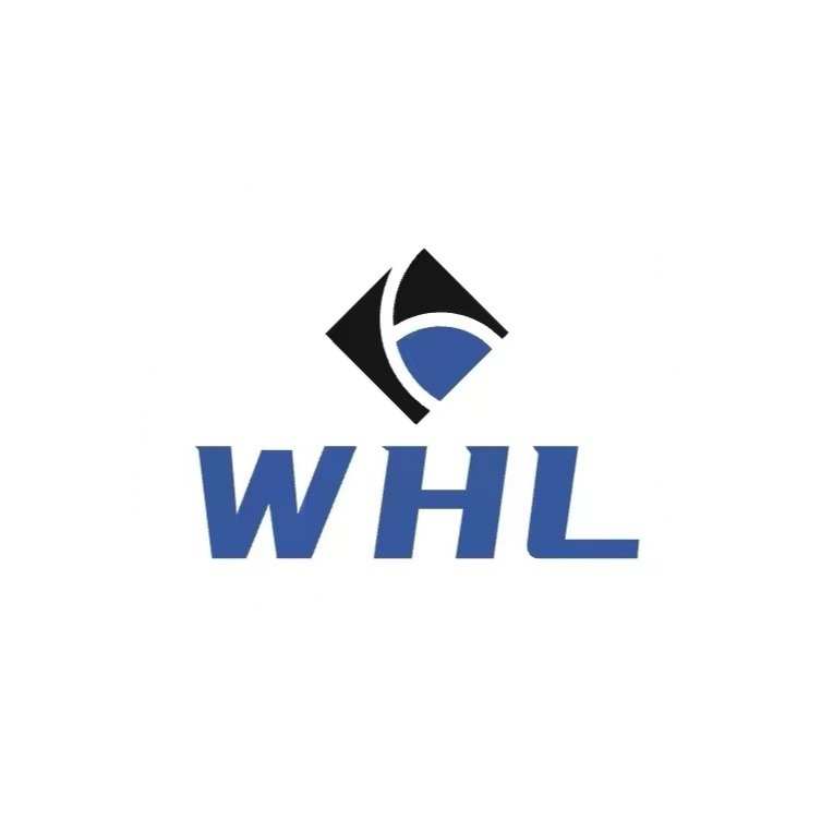 WHL--Beautiful ladies shop, Online Shop | Shopee Singapore