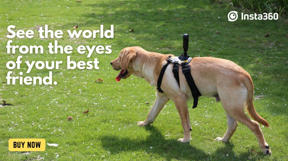 INSTA360 OFFICIAL STORE, Online Shop Jul 2024 | Shopee Singapore