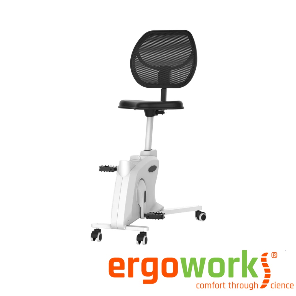 Ergoworks Official Store, Online Shop Jan 2023 | Shopee Singapore