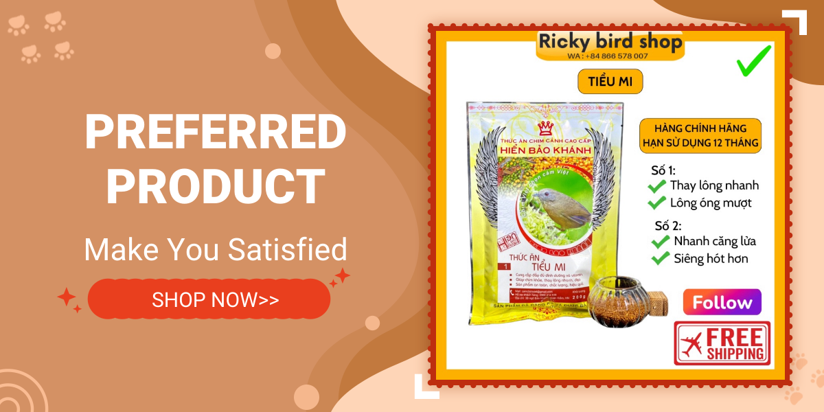 Ricky Bird Shop, Online Shop | Shopee Singapore