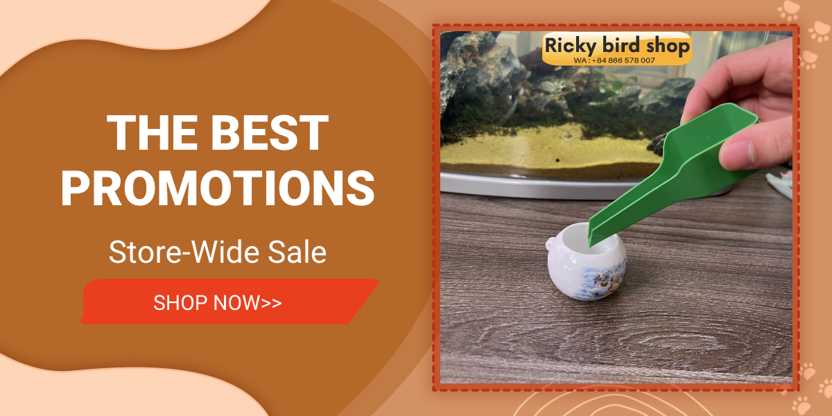 Ricky Bird Shop, Online Shop | Shopee Singapore