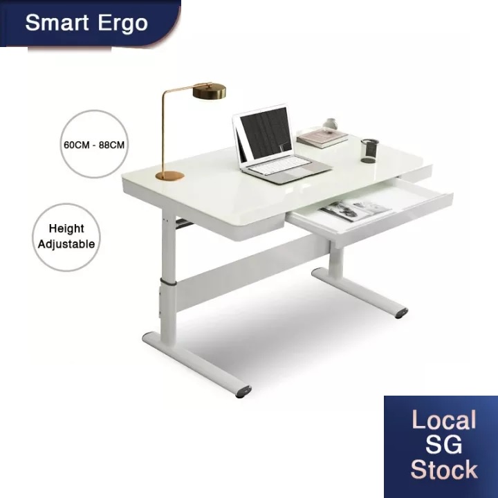 Smart Ergo Official Store, Online Shop Jan 2025 | Shopee Singapore