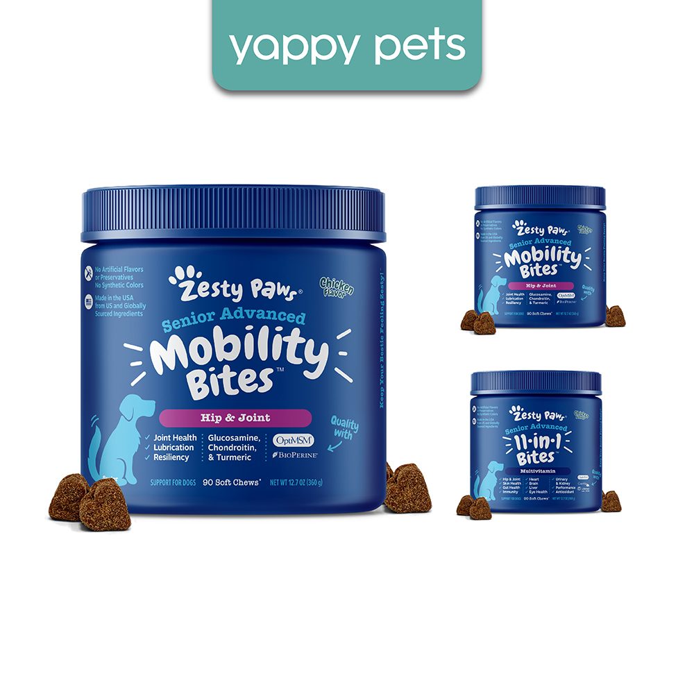 Yappy Pets Official Store, Online Shop Jul 2024 | Shopee Singapore