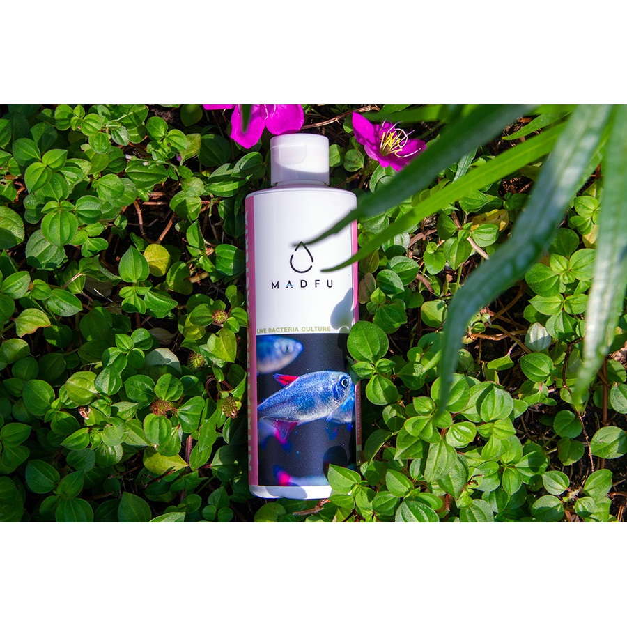 MADSHRIMP, Online Shop | Shopee Singapore