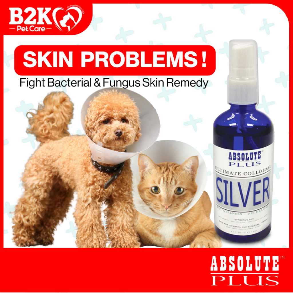 B2K Pet Care Official Store, Online Shop | Shopee Singapore