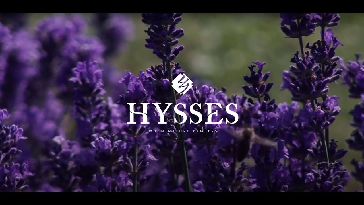 HYSSES Official Store, Online Shop Jul 2024 | Shopee Singapore