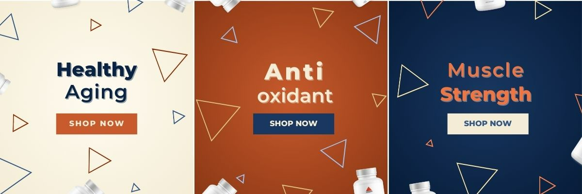 Xandro™ Lab Official Store, Online Shop Sep 2023 | Shopee Singapore