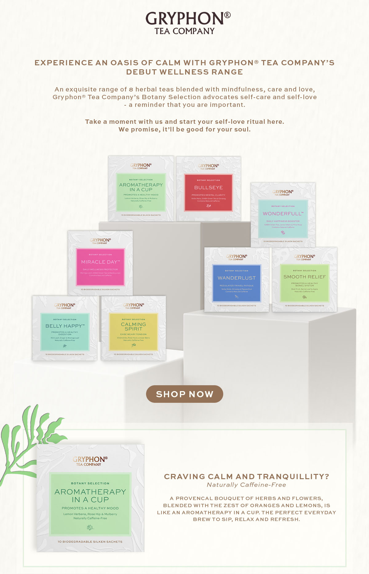 Gryphon Tea Company Official Store, Online Shop Aug 2023 | Shopee Singapore