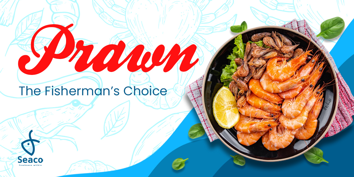 Seaco Official Store, Online Shop Jul 2024 | Shopee Singapore