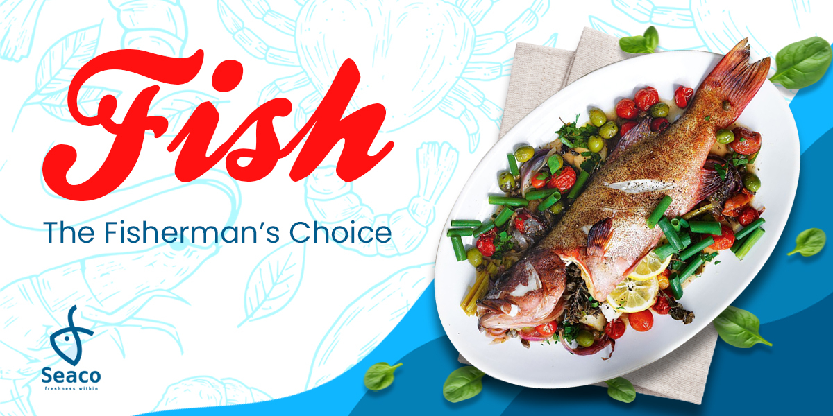 Seaco Official Store, Online Shop Jul 2024 | Shopee Singapore