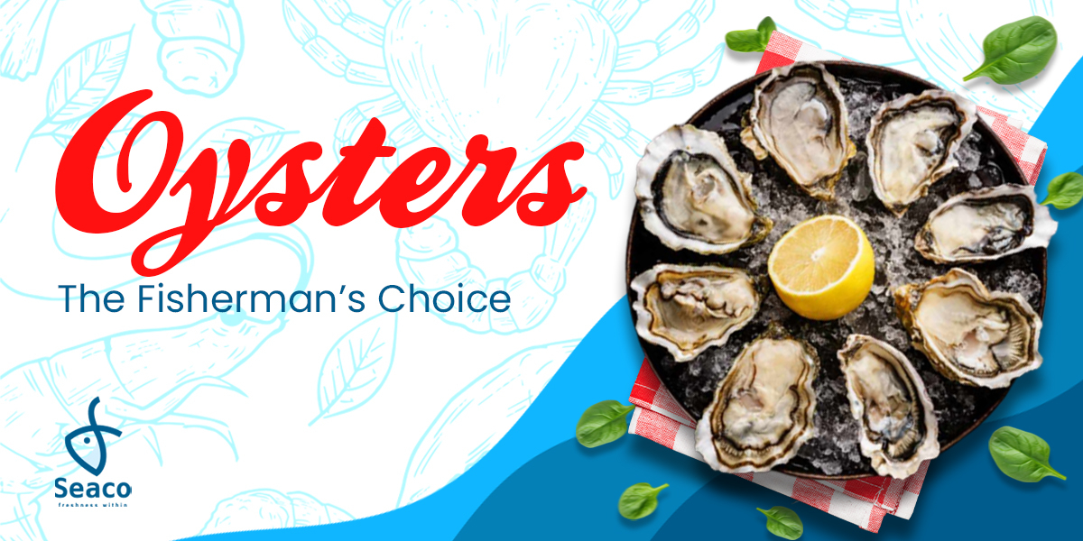 Seaco Official Store, Online Shop Jul 2024 | Shopee Singapore