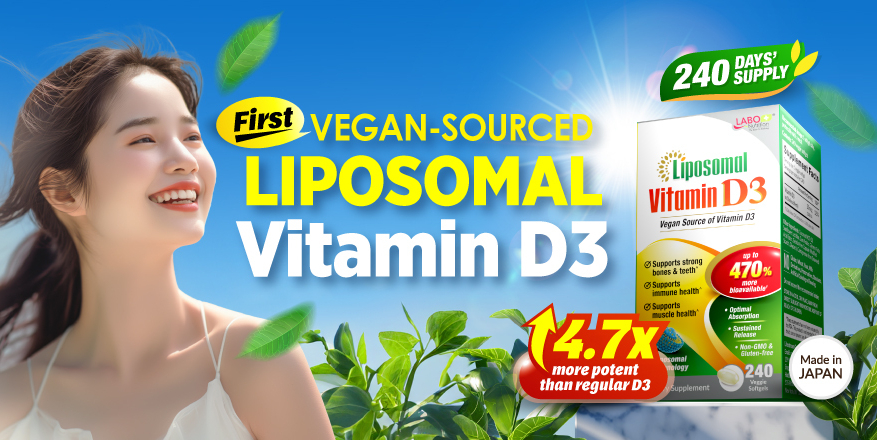 Lifestream Group Official Store, Online Shop Jul 2024 | Shopee Singapore