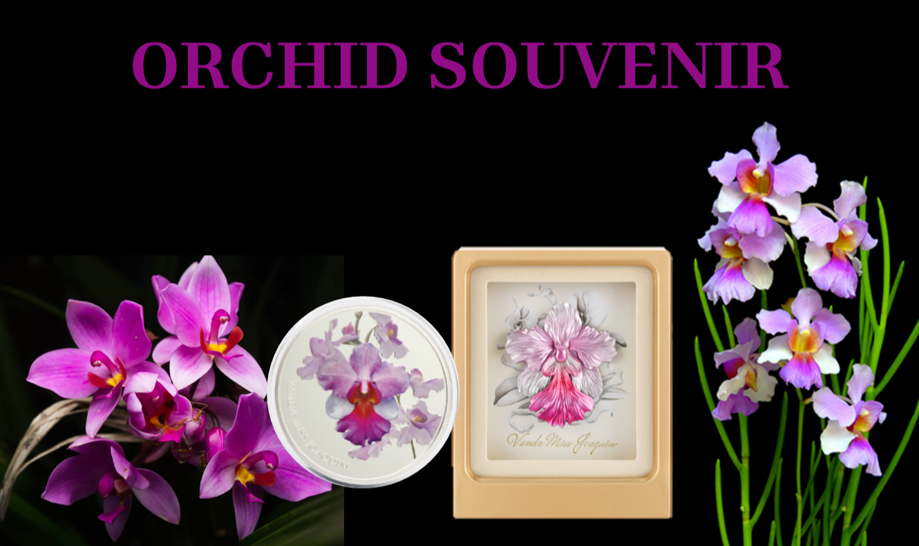 Raffles Mint Collectibles, Online Shop | Shopee Singapore