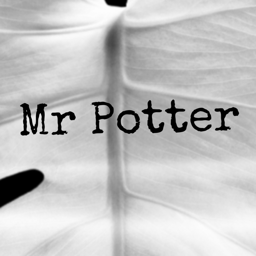 Mr Potter, Online Shop | Shopee Singapore
